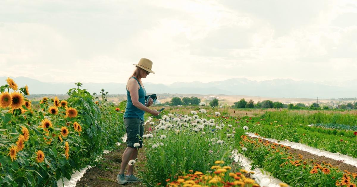RMPBS News | Arvada artist turns plants into paints | Season 2025 | PBS
