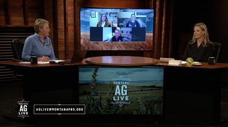 Montana PBS Livestream