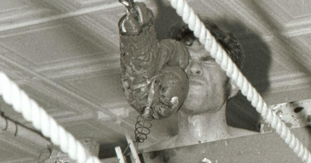 AHA! A House for Arts | The Punch That Inspired an Artist | Season 8 ...