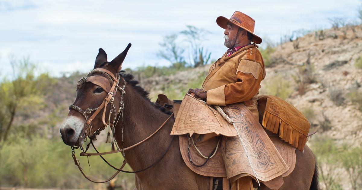 La Recua: The Mule Pack Train | PBS