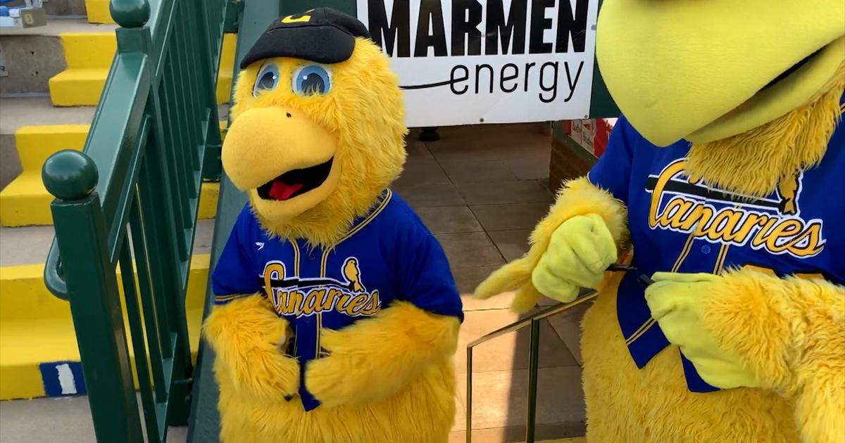 In Play | Mini Mascot | PBS