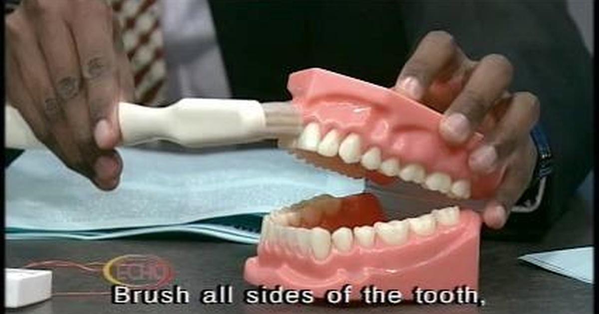 ECHO | Cleaning Teeth | Season 5 | Episode 18 | PBS