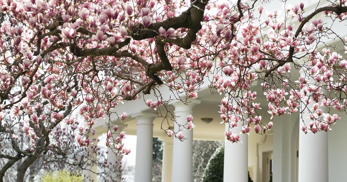 Washington Week with The Atlantic | Washington Week Extra for March 13 ...