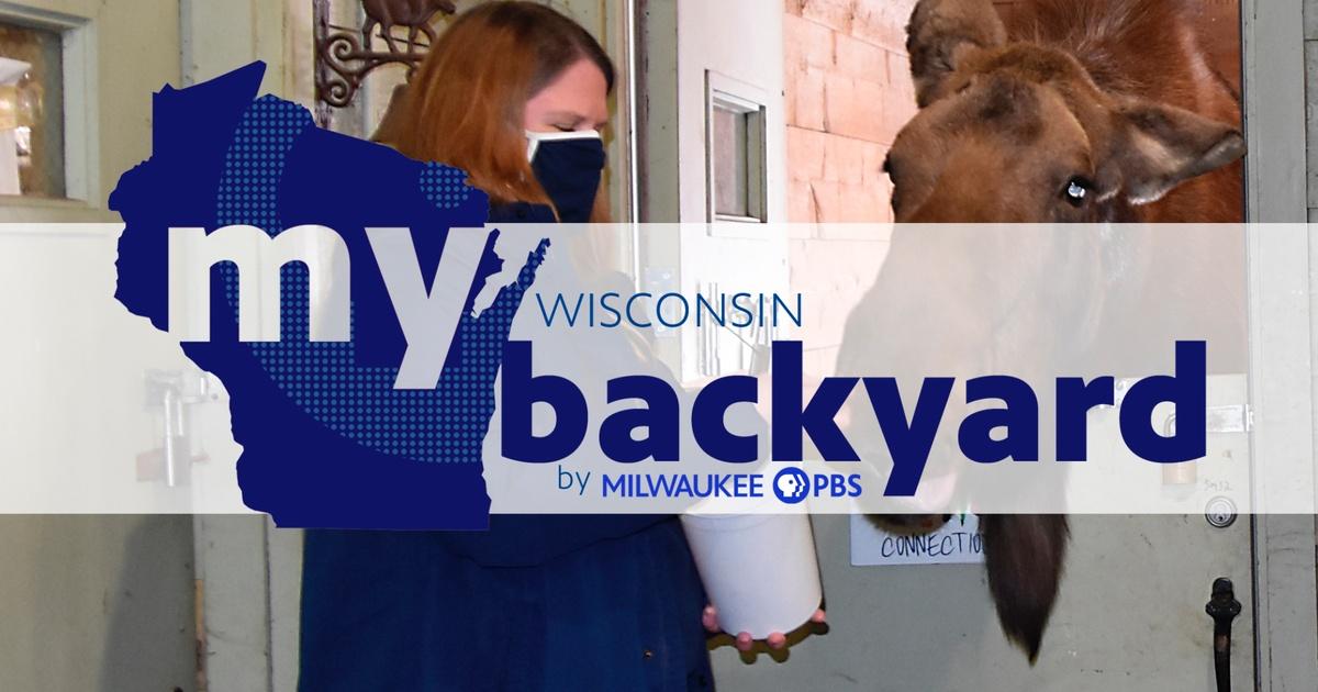 My Wisconsin Backyard | Moose | Season 2021 | Episode 38 | PBS