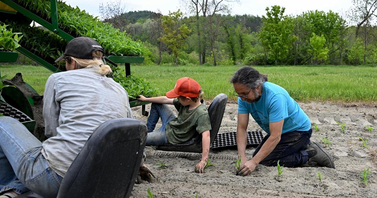 Conexión | Latino farmer uses heirloom corn to connect with community | PBS