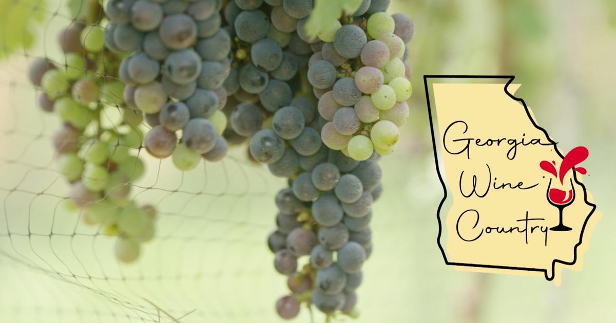 Georgia Outdoors | Georgia Wine Country | Season 2024 | Episode 4 | GPB