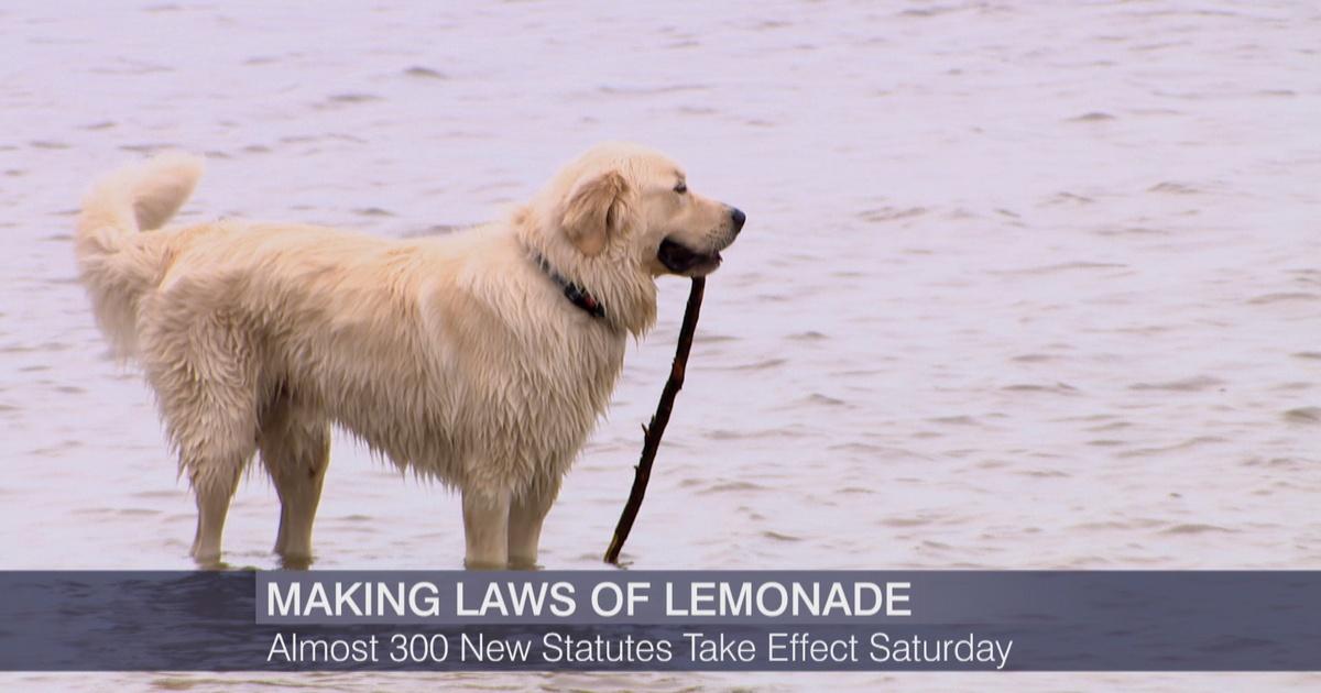 Chicago Tonight | Almost 300 New Statutes Take Effect Saturday | Season ...