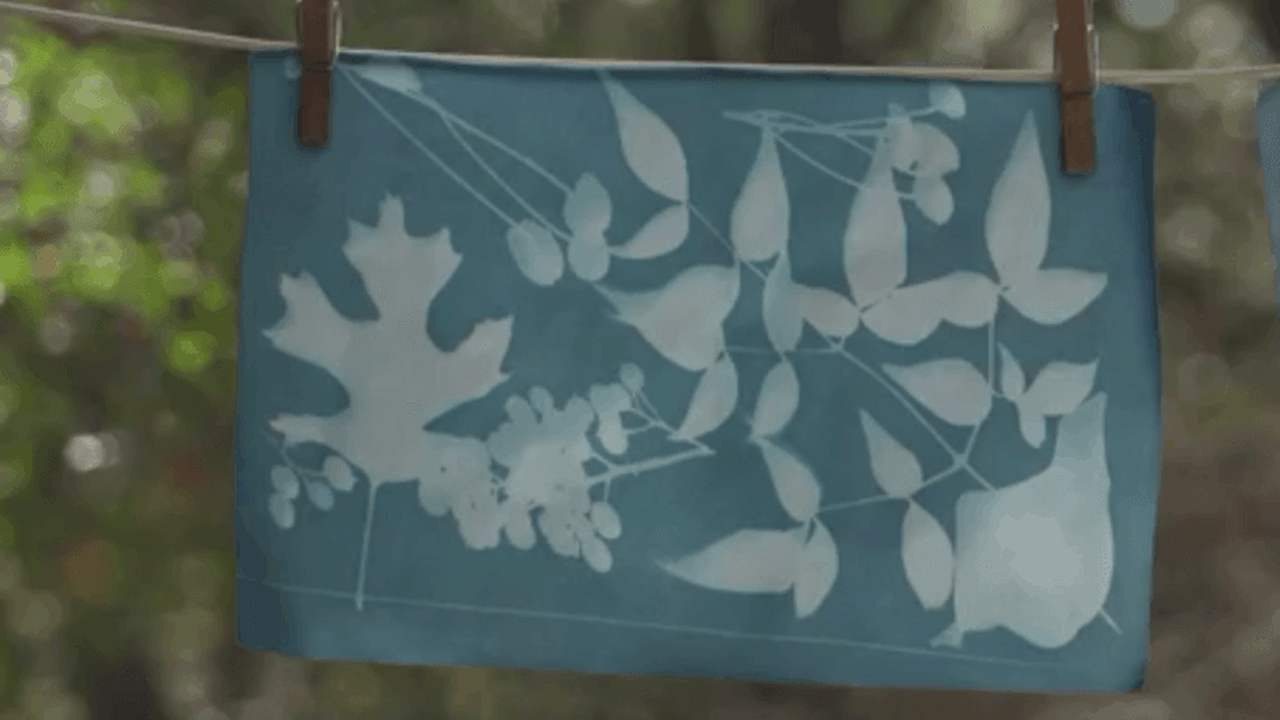 PBS KIDS for Parents Videos - Family Friendly… | PBS KIDS for Parents