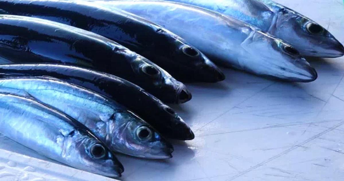 HIKI NŌ | 4/28/16 Opelu Fishing and Other Stories | Season 7 | Episode ...