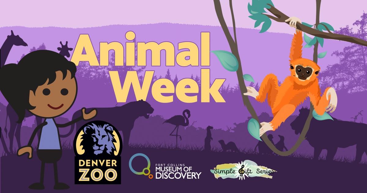 Colorado Classroom | The Animal-Human Connection | PBS