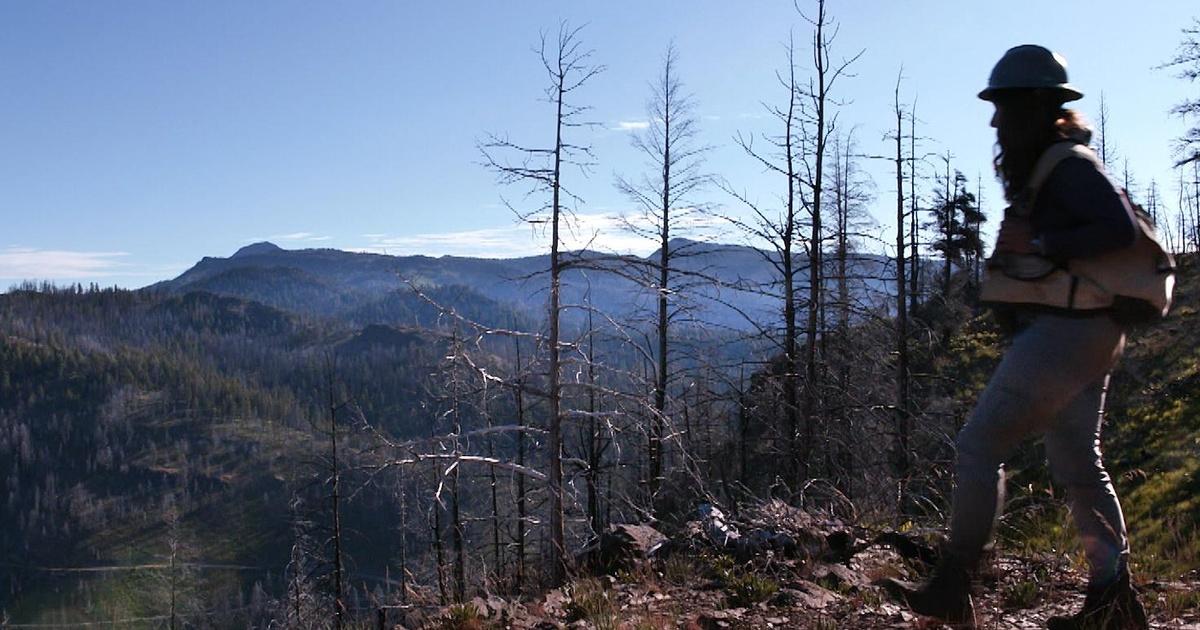 Oregon Field Guide | Blue Mountain Forest Partners | PBS