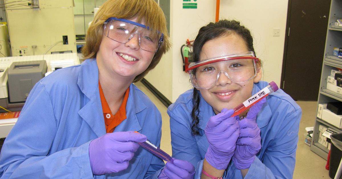 DragonflyTV | Self Assembly | Season 7 | PBS