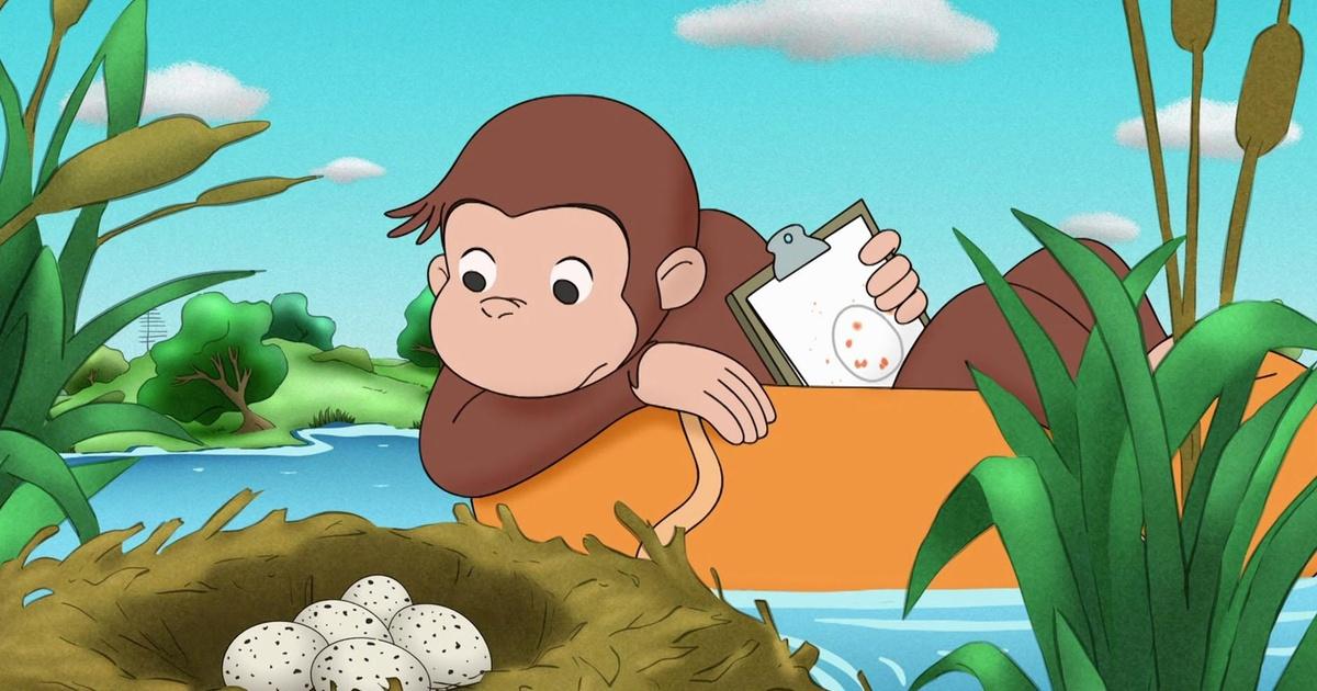 Curious George | Curious George's Egg Hunt | Season 7 | Episode 5 | PBS