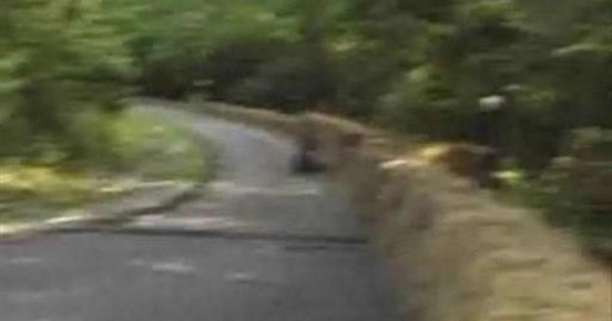 Design Squad | Gravity Bike Race | Season 2 | Episode 4 | PBS