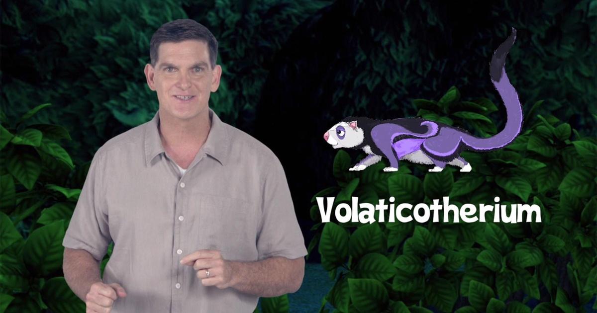 Dinosaur Train | Dinosaur Discoveries: Volaticotherium | PBS