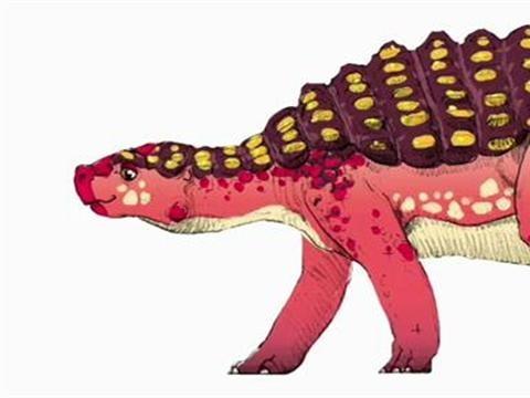 Train De Dinosaures Nodosaurus