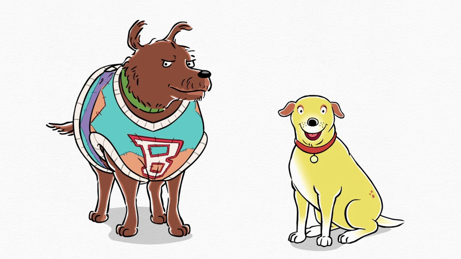 Dignified and Undignified | Watch online at WTTW.com