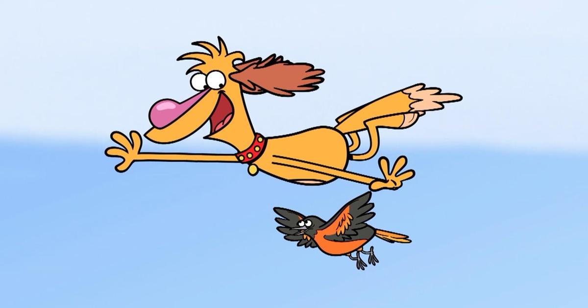 Nature Cat | Hal the Birdie! | Season 1 | PBS