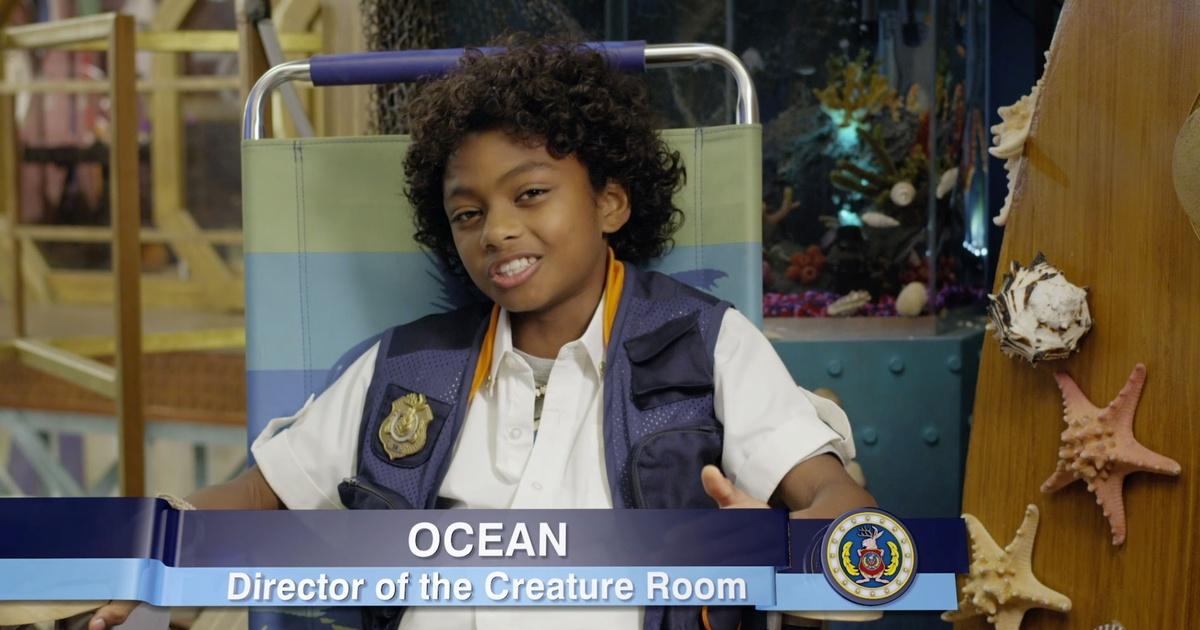 Odd Squad | Agent Ocean | PBS