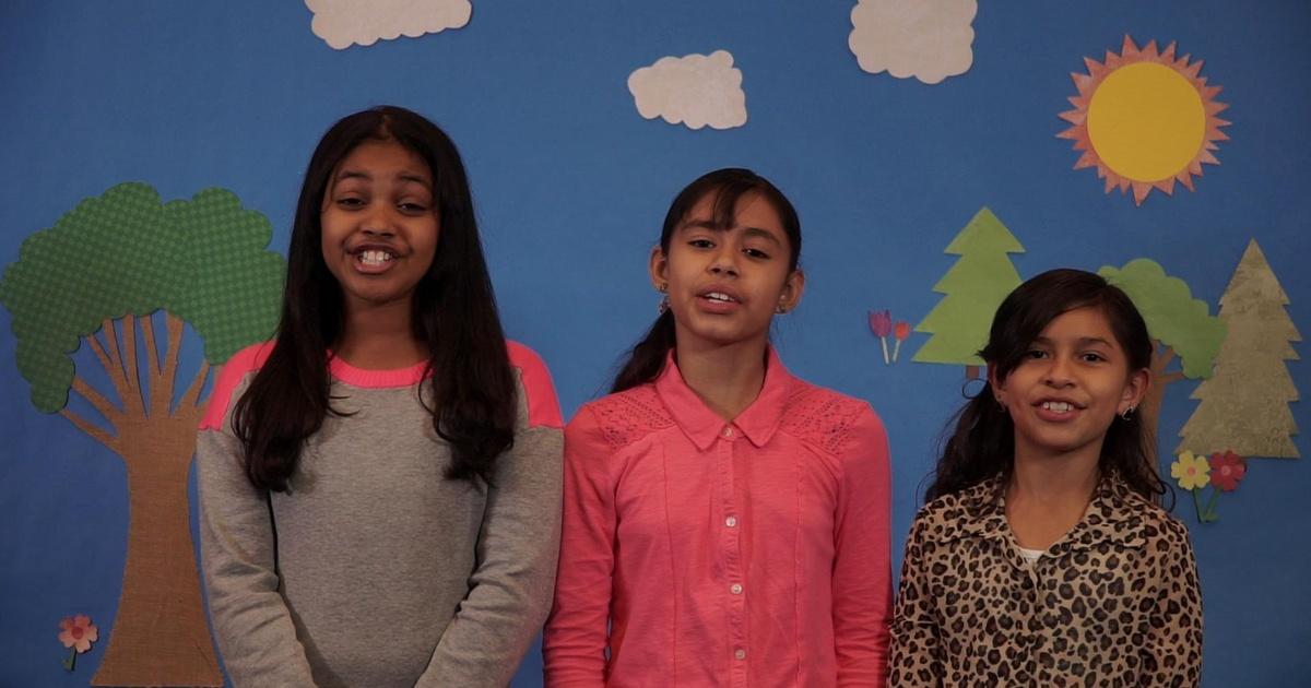 SciGirls | Rule the Roost - Catepillar Clues | PBS