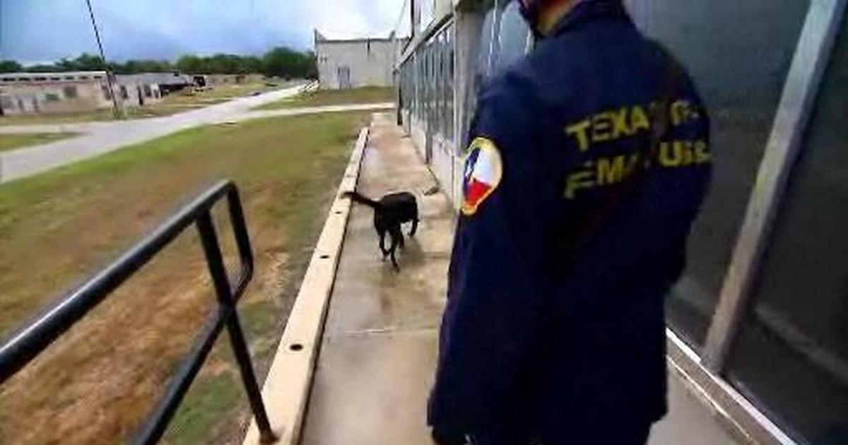 SciGirls | Deleted Scene: Robots to the Rescue! | Season 1 | Episode 10 ...