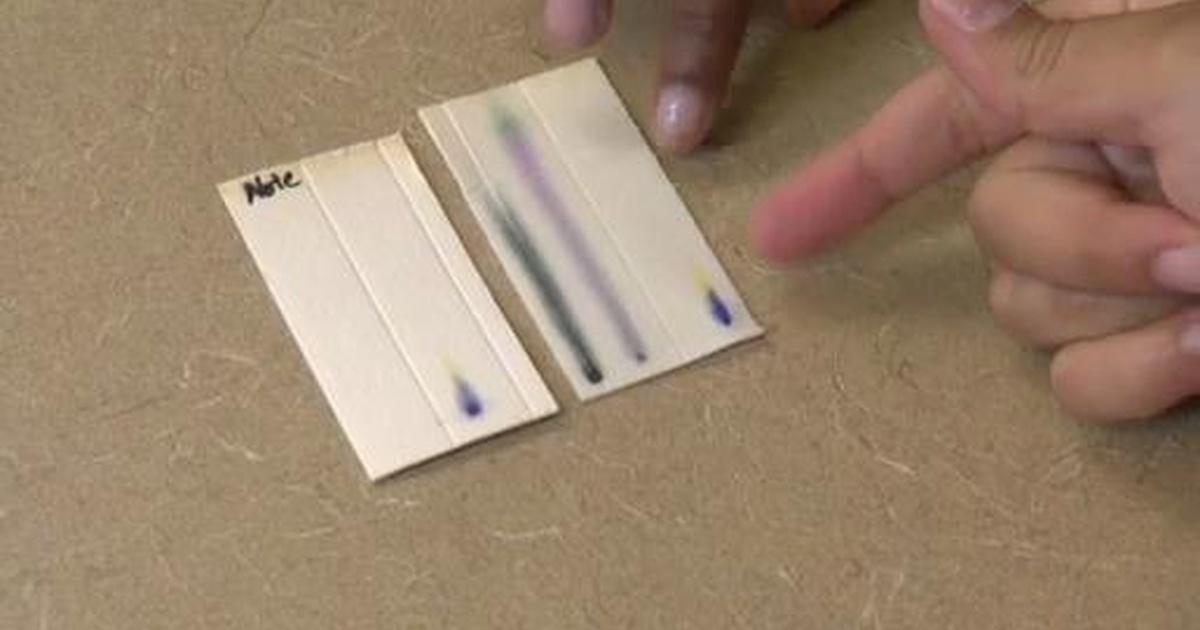 SciGirls | Forensic TLC | Season 2 | Episode 10 | PBS