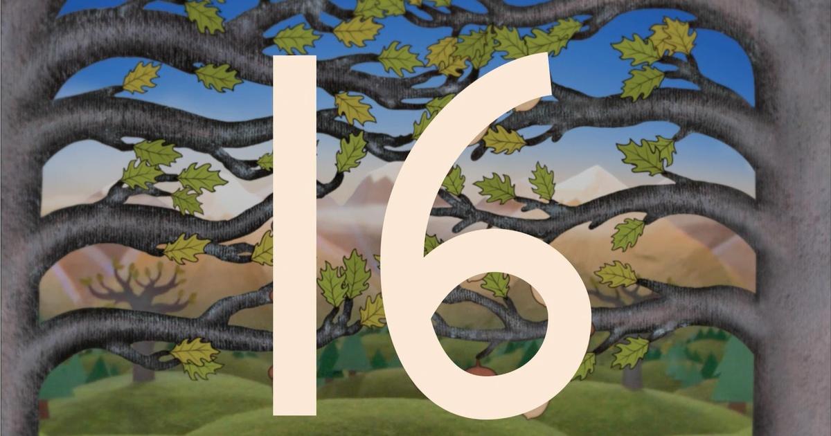 Sesame Street | 16 Acorns | PBS