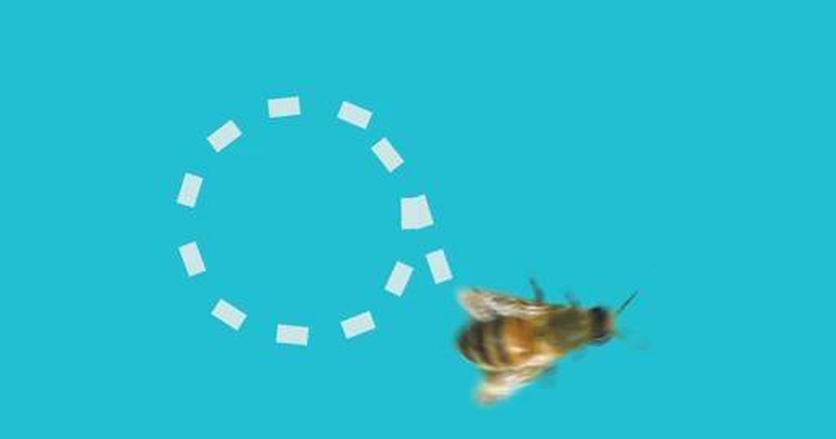 Sid the Science Kid | The Buzz With the Bees | PBS