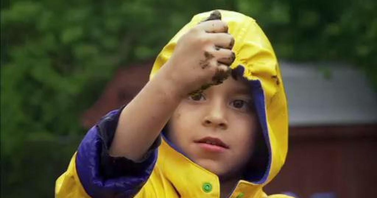 Sid the Science Kid | Rain Observation | Season 1 | PBS