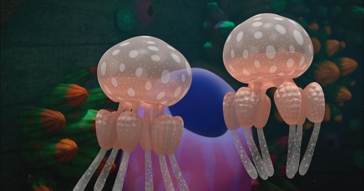 Splash and Bubbles | Cloning Around | PBS