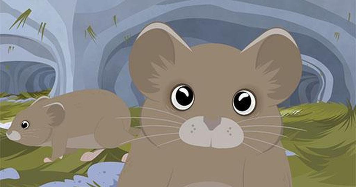 Wild Kratts | Journey to the Subnivean Zone | Season 2 | Episode 26 | PBS