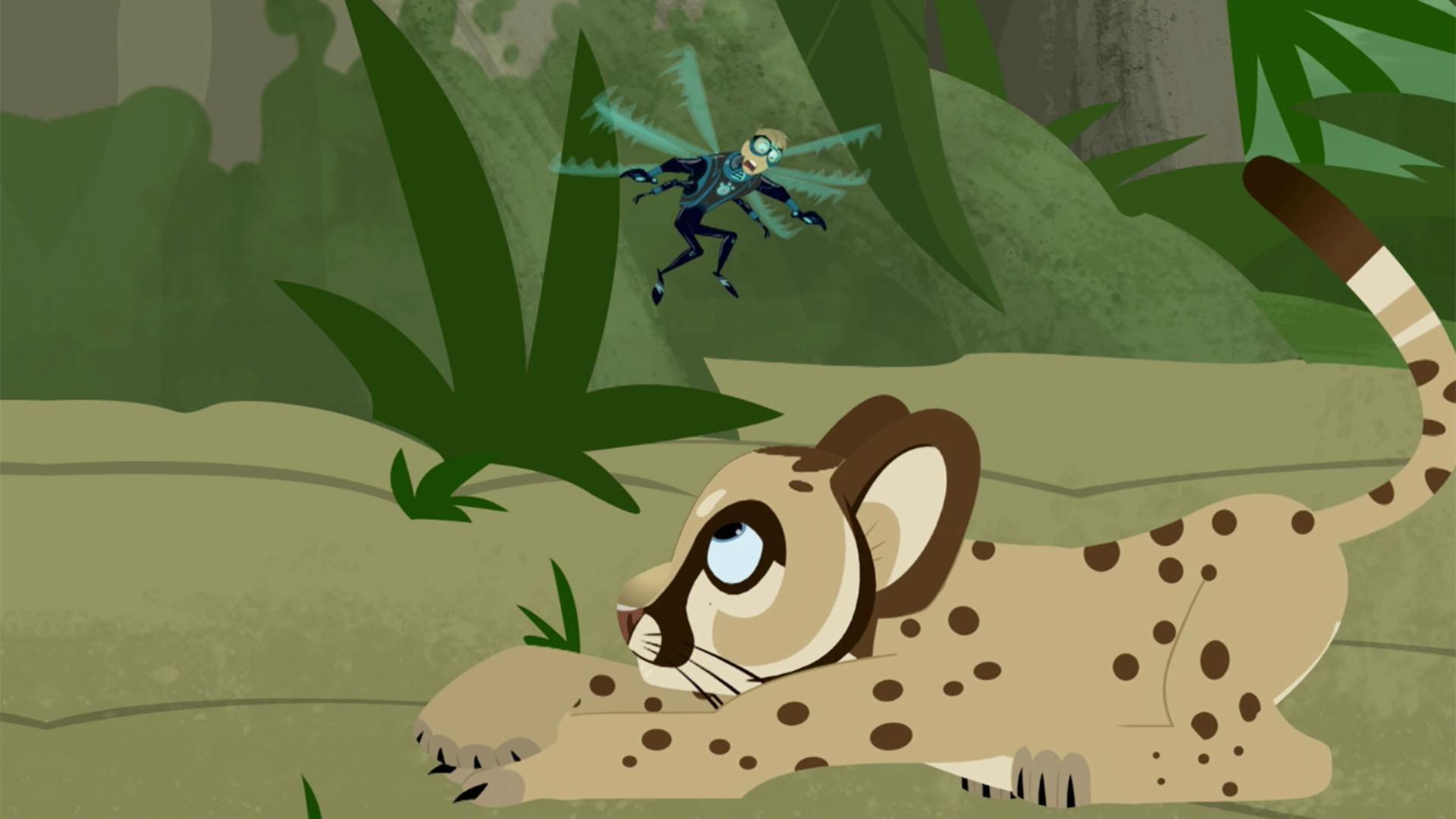 Back in Creature Time Part 1 | Rocky Mountain PBS
