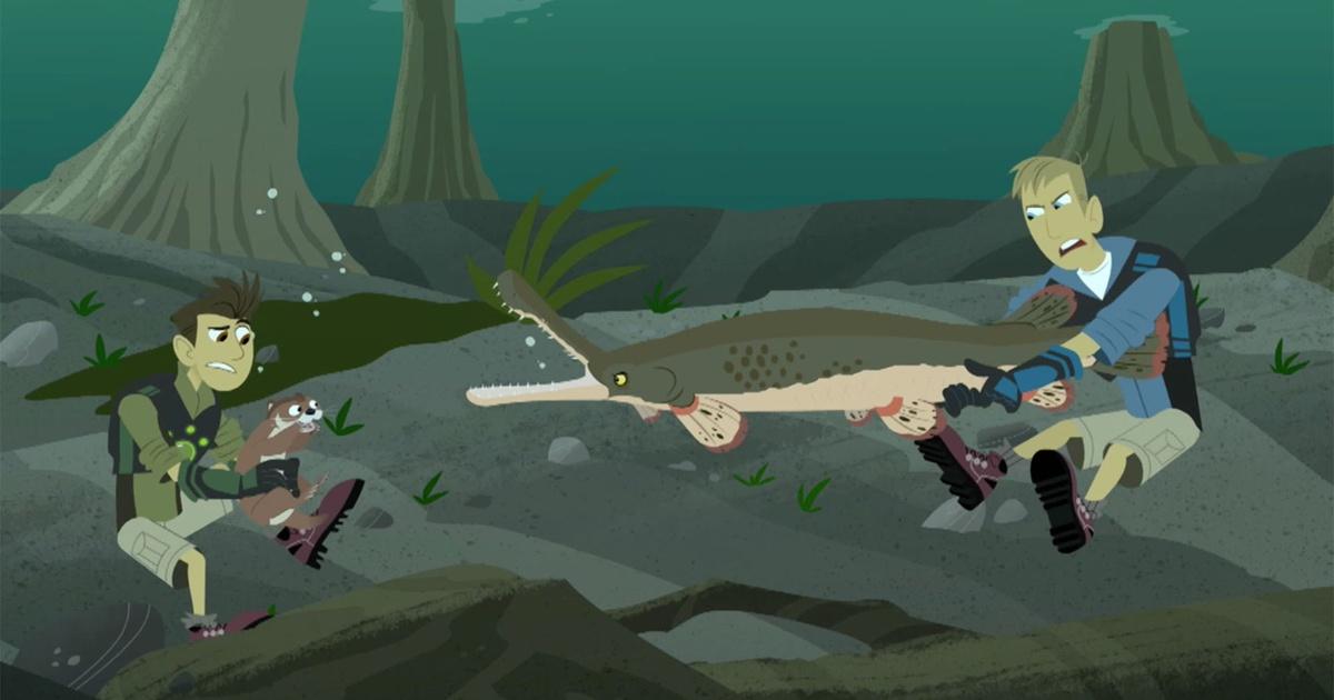 Wild Kratts | Otter Power! | Season 3 | PBS