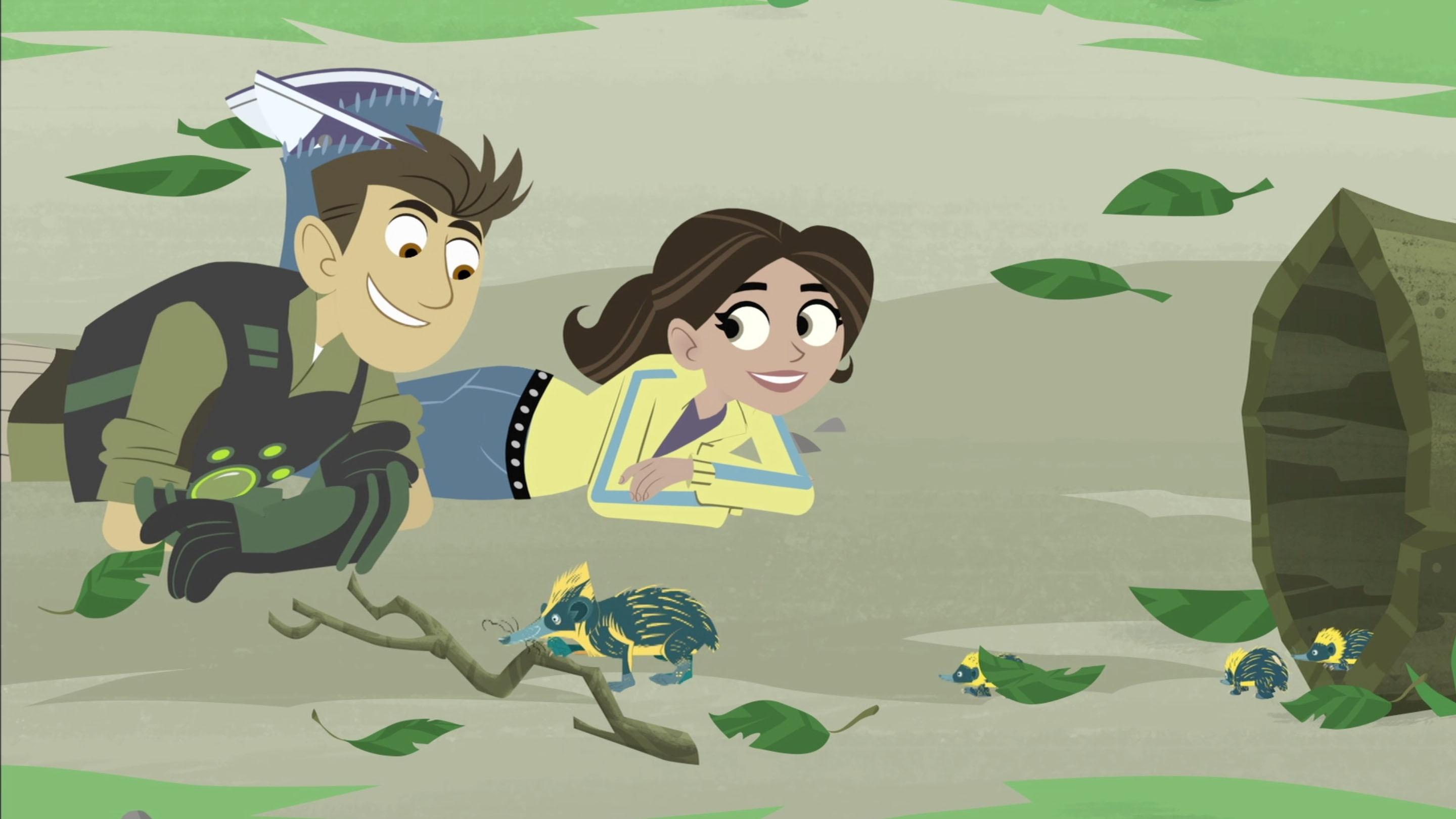 Crocogator Contest | Rocky Mountain PBS