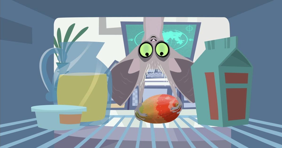 Wild Kratts | Aye Aye Eating | Season 3 | PBS