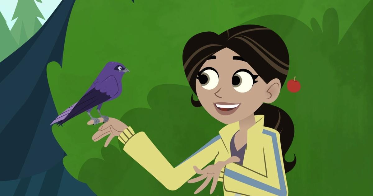 Wild Kratts | Getting to Know the Purple Martin | Season 4 | PBS