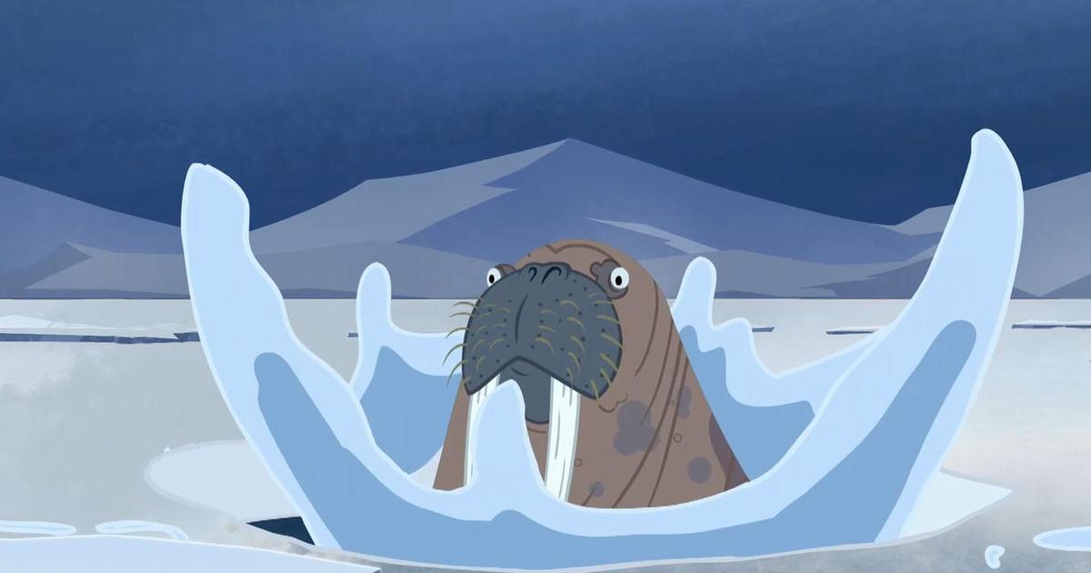 Wild Kratts | Walrus: Livin Creature Style | PBS