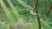 Wild Kratts | Golden Orb Weaver Spider: Creature Power | PBS