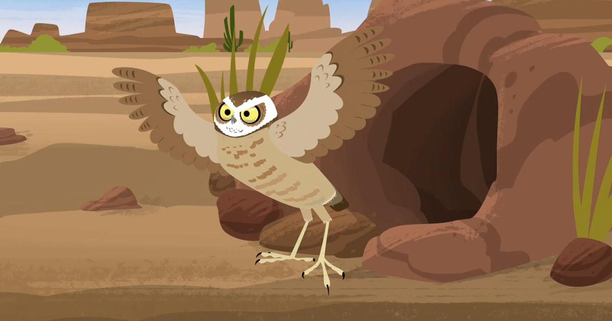 Wild Kratts | Burrowing Owl: Livin Creature Style | PBS