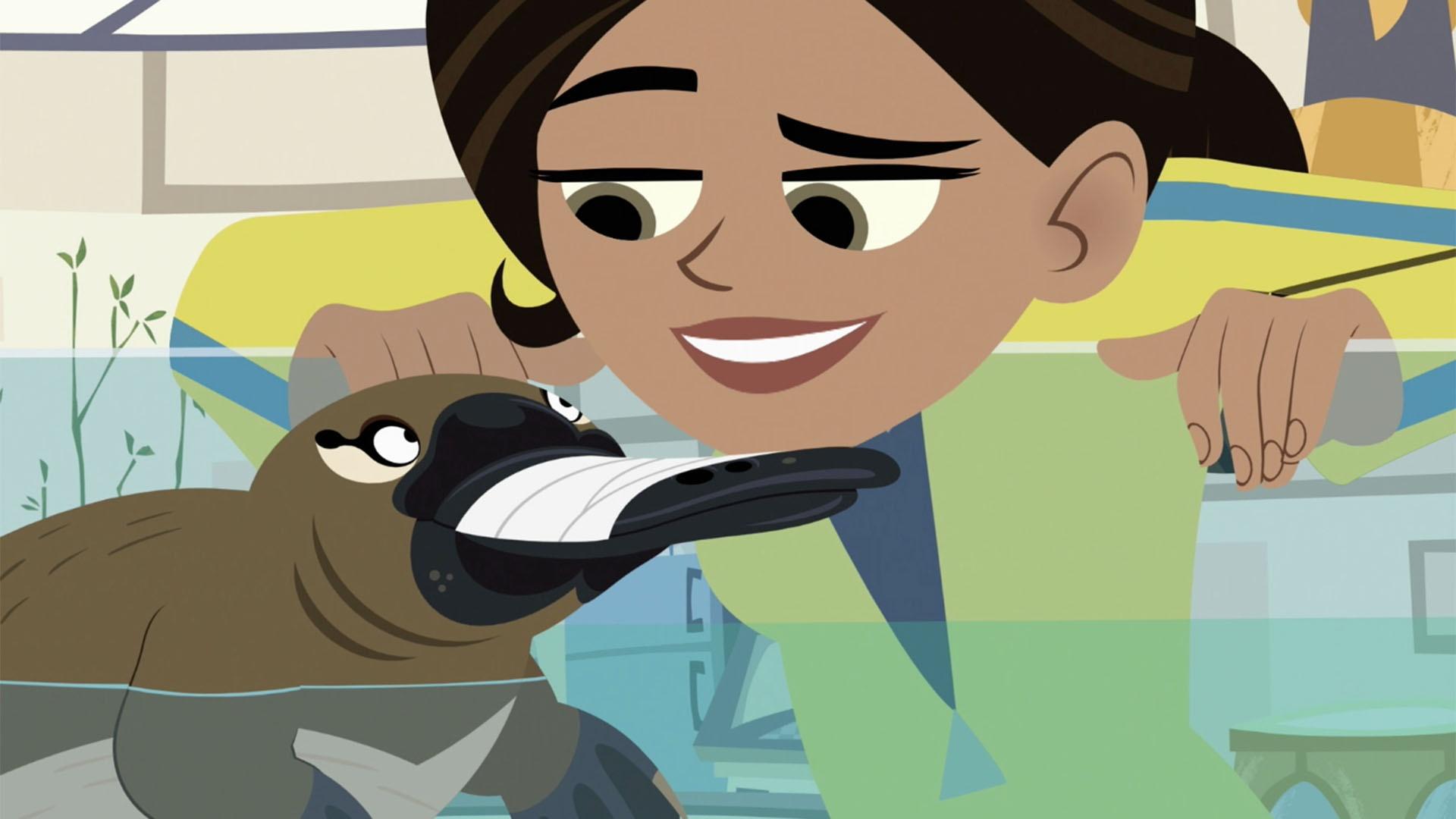 Cheetah Racer | Rocky Mountain PBS
