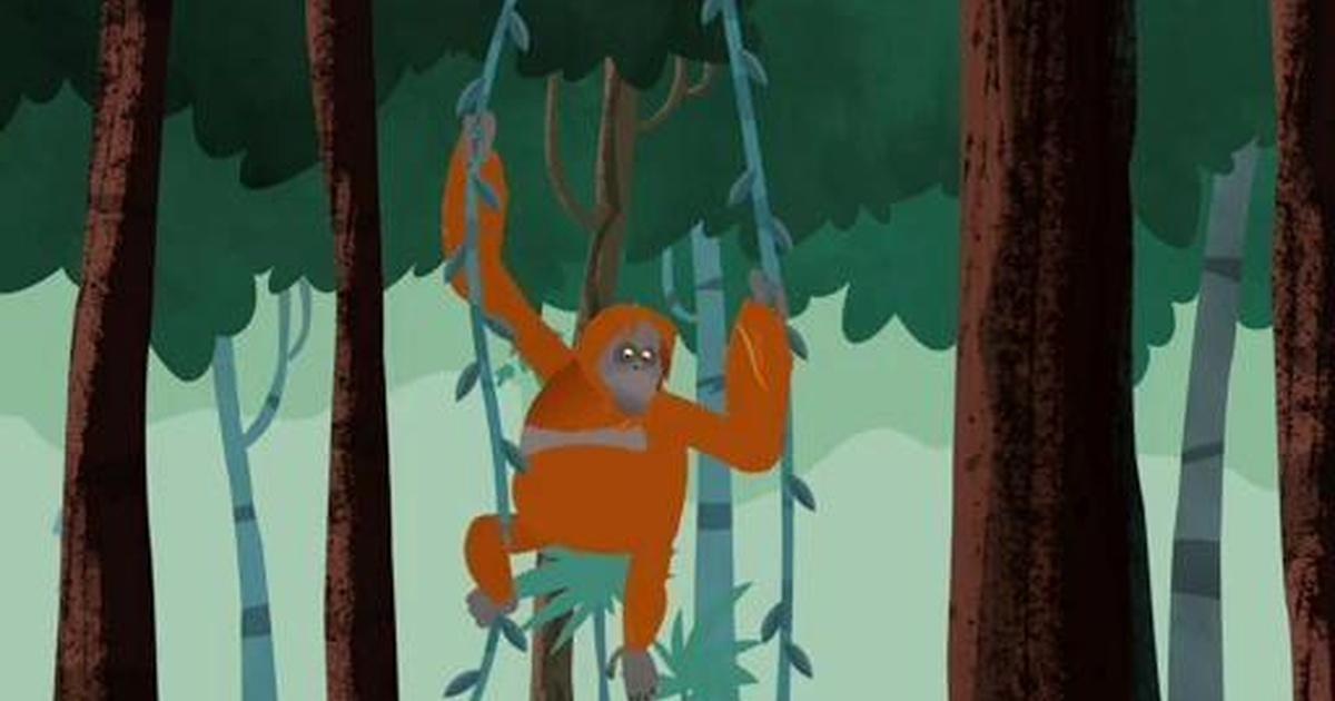 Wild Kratts | A Huge Orange Problem | Season 1 | Episode 28 | PBS