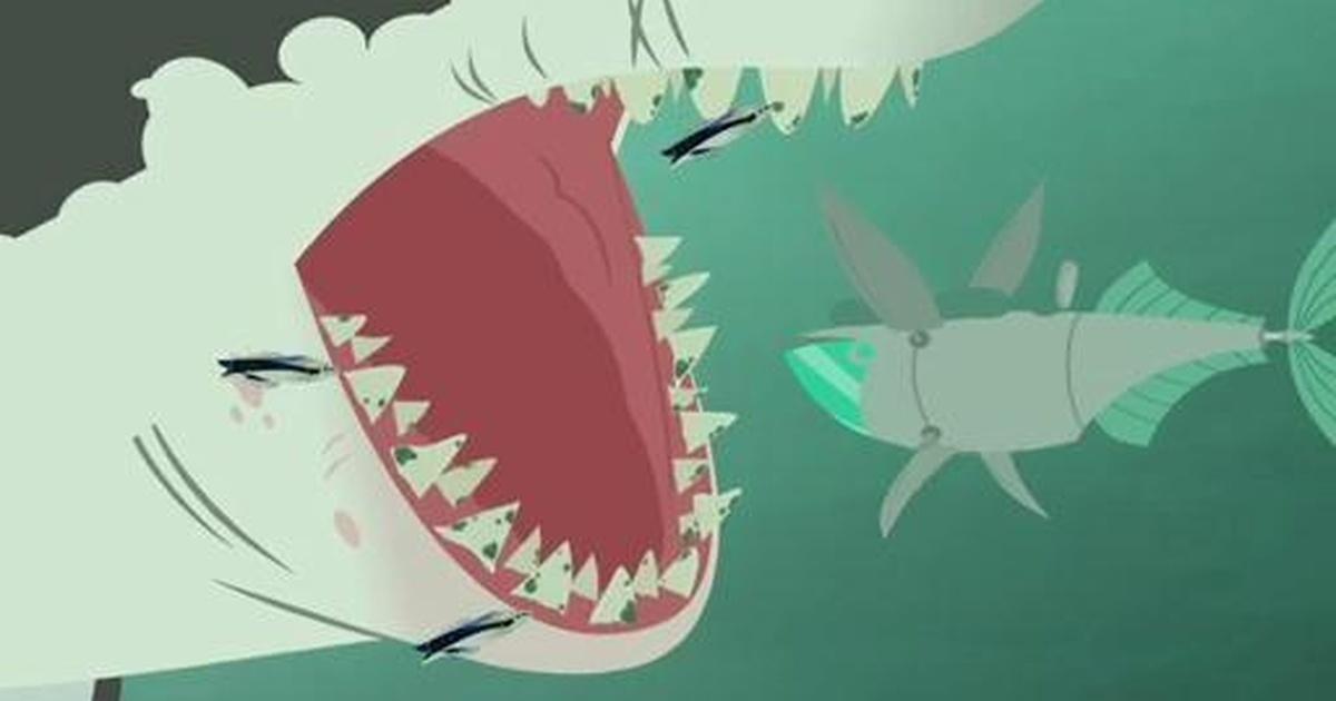 Wild Kratts | All Clean at the Cleaning Station | PBS