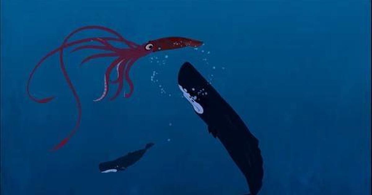 Wild Kratts | Sperm Whale vs. Giant Squid | PBS