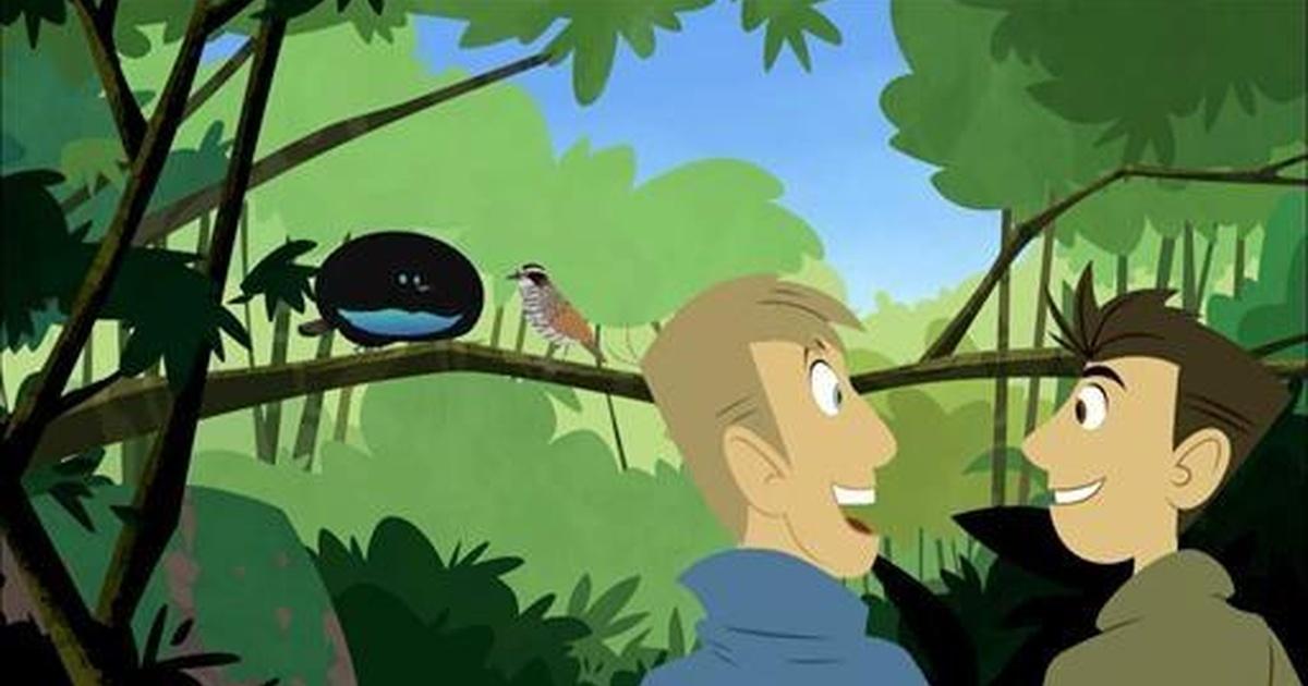 Wild Kratts | Dance Like a Bird | Season 1 | PBS