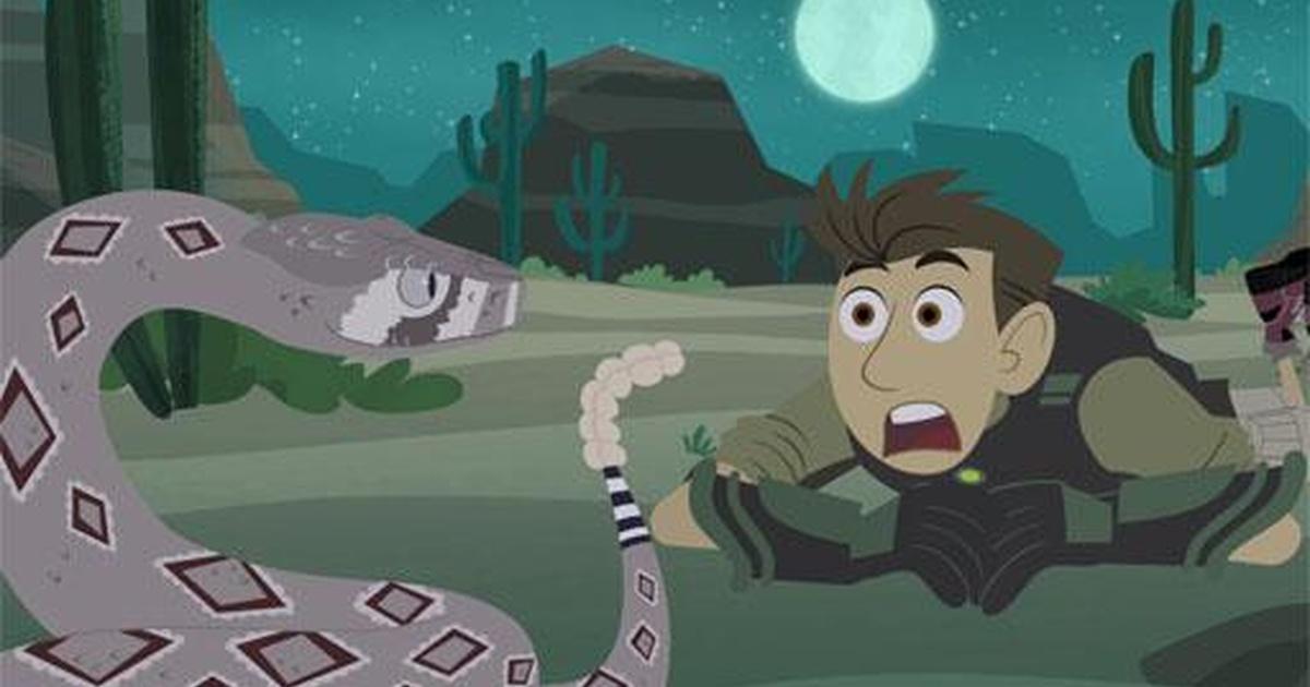 Wild Kratts | Rattled | Season 2 | PBS