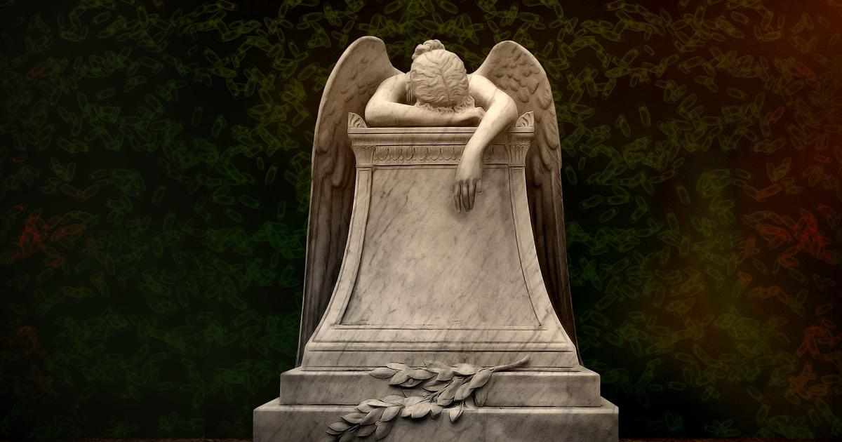 American Experience | The Forgotten Plague Preview | Season 27 ...