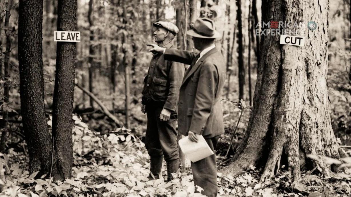 America's Timber | Watch on PBS Wisconsin