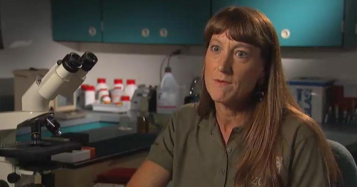 Antiques Roadshow | Bonus Interview: Dr. Terry Roth, Cincinnati Zoo ...