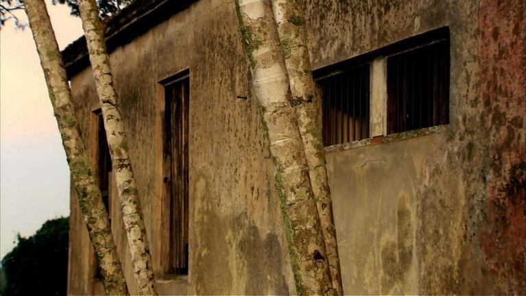 Black in Latin America | PBS