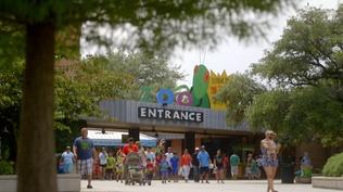 Episode 3 | Ian Waterman’s Inspiring Story | The Brain with David ...